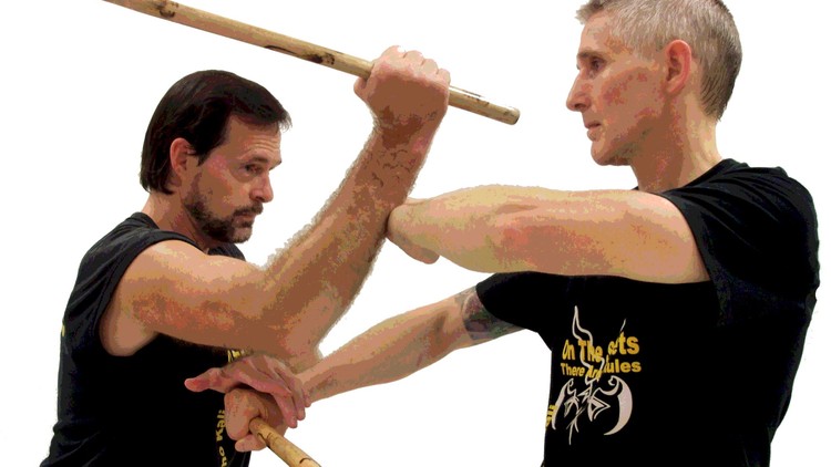 Single Stick Mastery in Filipino Martial Arts - Skillmapper