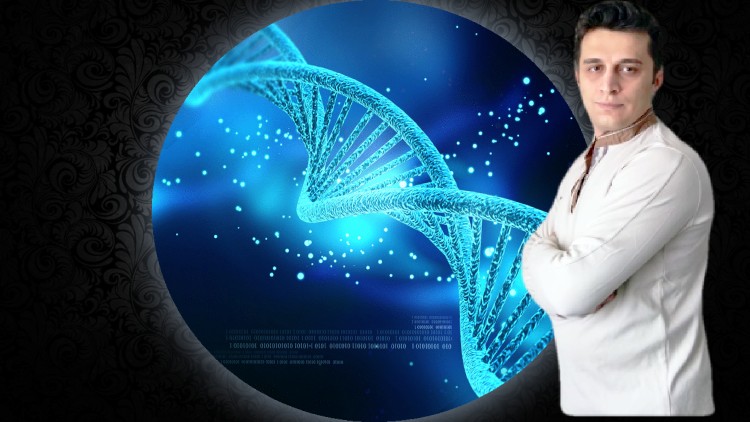 Artificial Intelligence #7 : Genetic Algorithm Optimization - Skillmapper