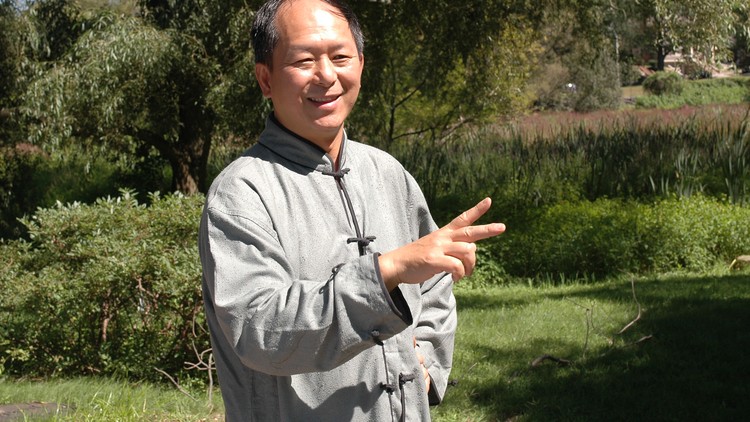 Understanding Qigong 4: Four Seasons Qigong with Dr. Yang - Skillmapper